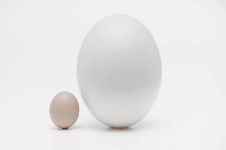 False Equivalence: The Problem with Unreasonable Comparisons ... False Equivalence: The Problem with Unreasonable Comparisons ...
